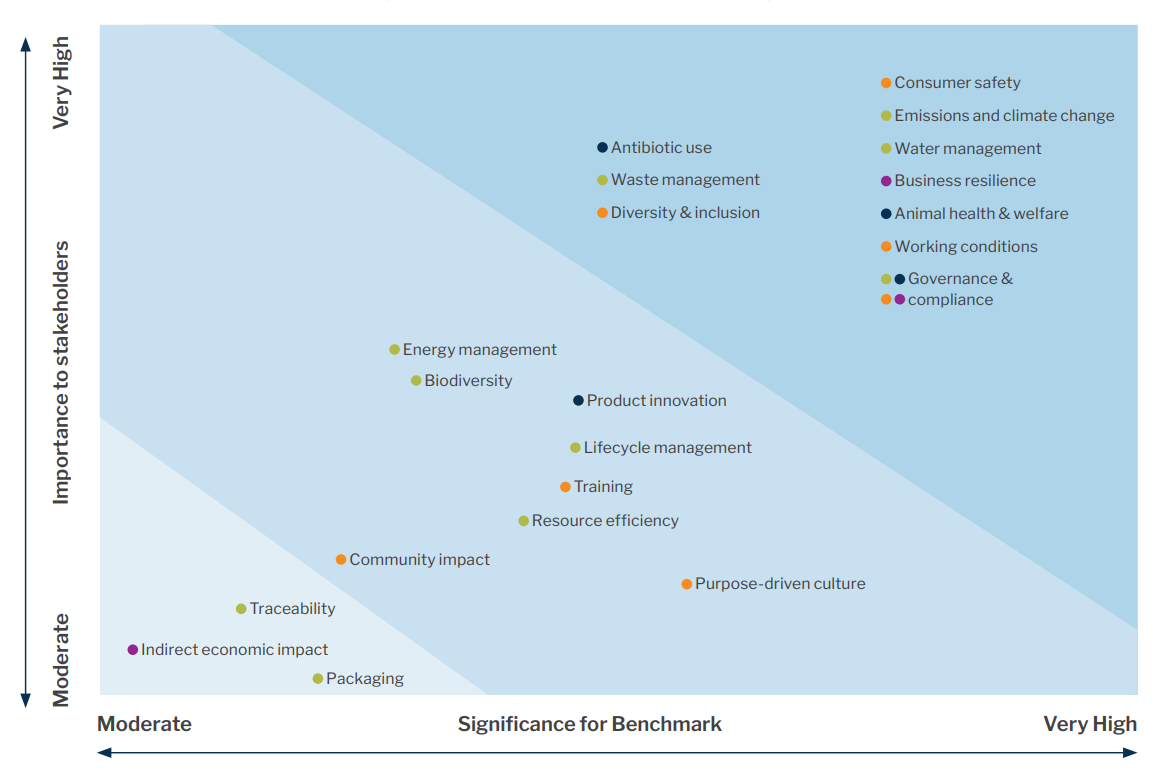 Our Materiality Assessment - Benchmark Holdings plc (LON:BMK)